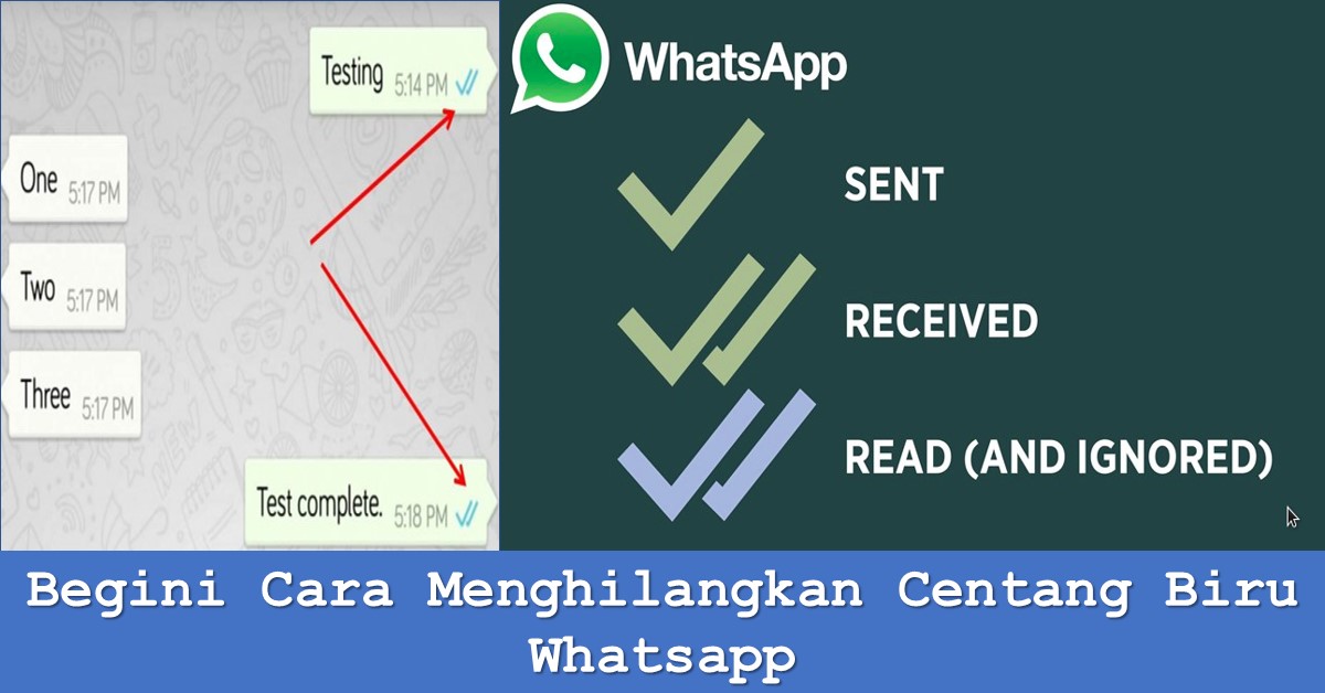 Begini Cara Menghilangkan Centang Biru Whatsapp | TechBanget